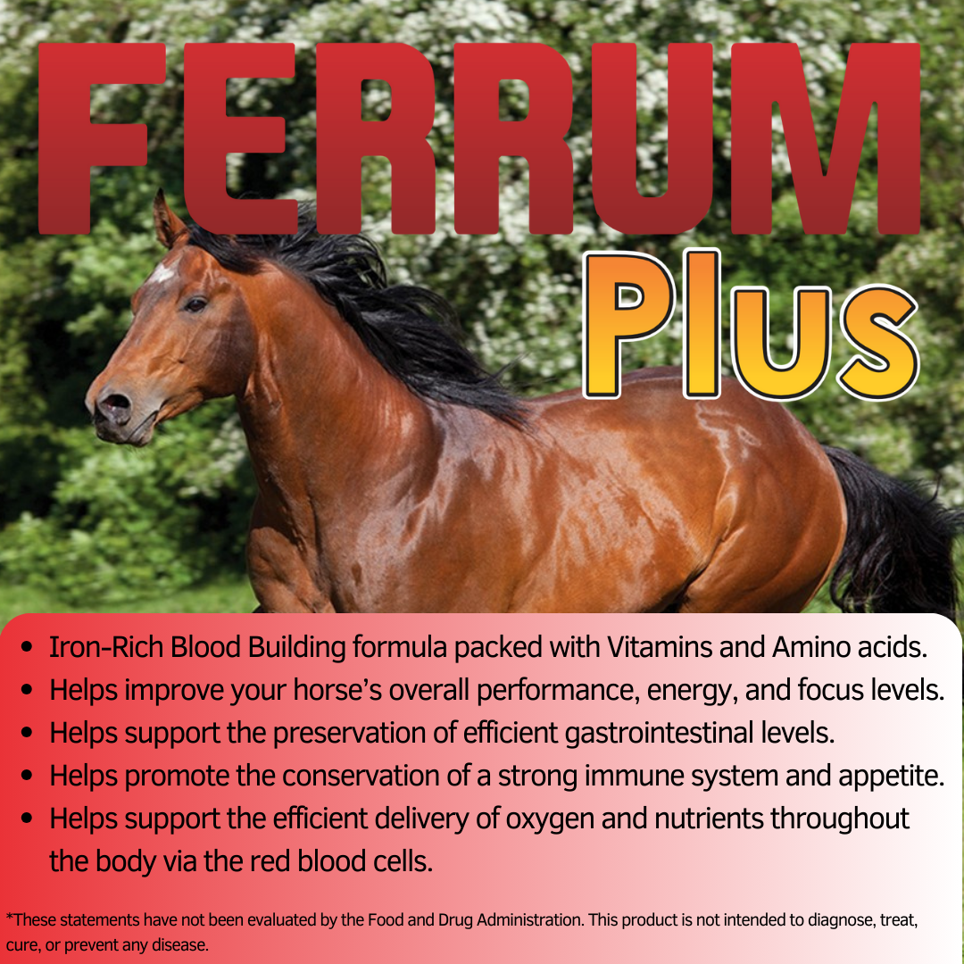 FERRUM PLUS - Iron Rich Blood Builder, Multivitamin & Amino Acids Daily ...